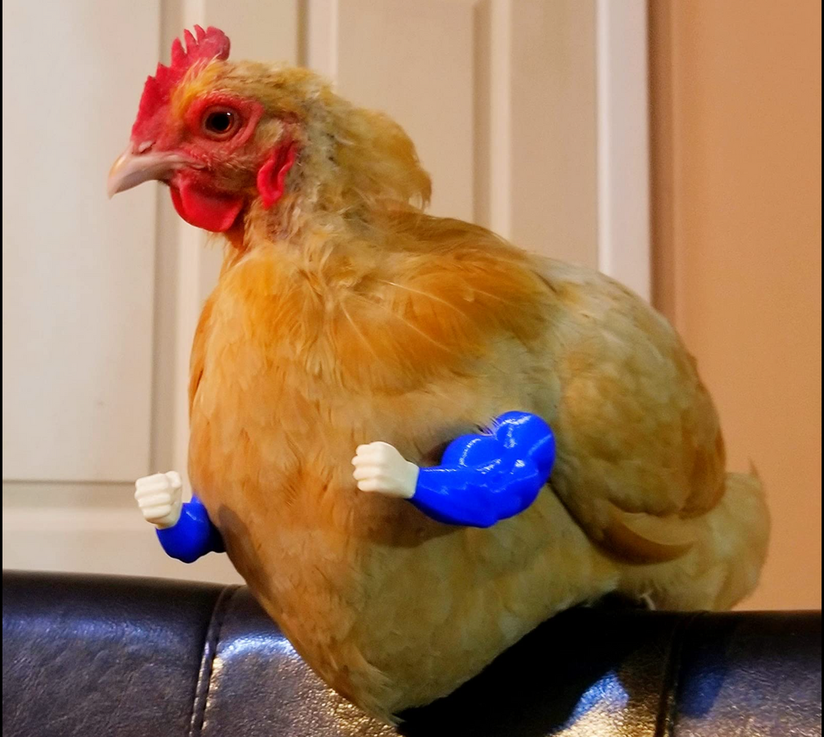 Cluck Kent - Super Chicken Arms – Super Cluck Co.